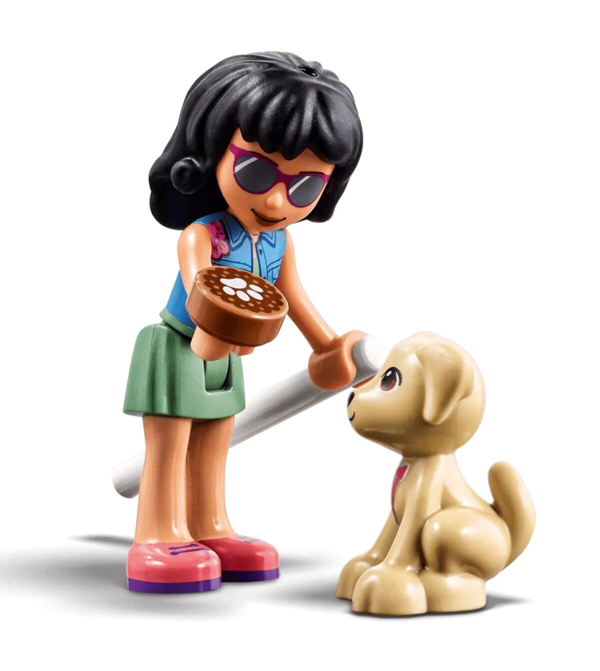 WBI’s 2021 Top Ten LEGO List for Equity and Inclusion (and Five ...
